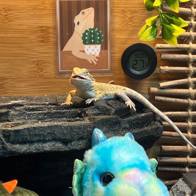 Bearded Dragon Eating Ice Cream Cone Tank Decor Reptile Art Lizard ...