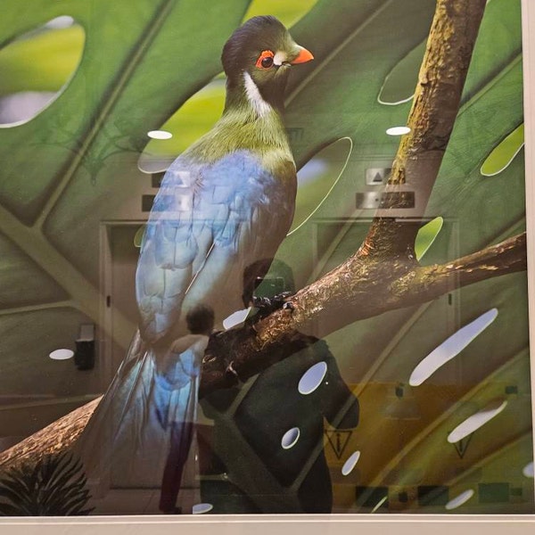 PSYCHIC VAMPIRE REPELLENT Protection Mist Gem-infused Aromatherapy ...