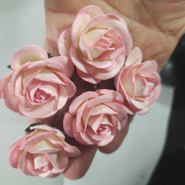 9 Bunches Brown Baby's Breath Gypsophila Filler, Baby's Breath Filler ...