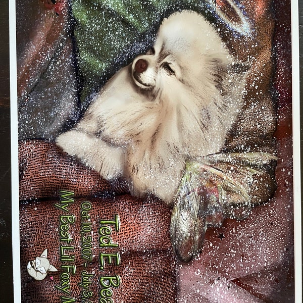 Pit Bull Pitbull Angel Wings Pitty Amstaff Angel Pet Memorial Rainbow ...