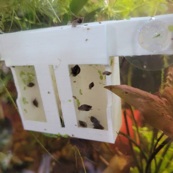 Snail Trap for Aquarium, Pest Snails Catcher Overnight, Leave Trap in ...