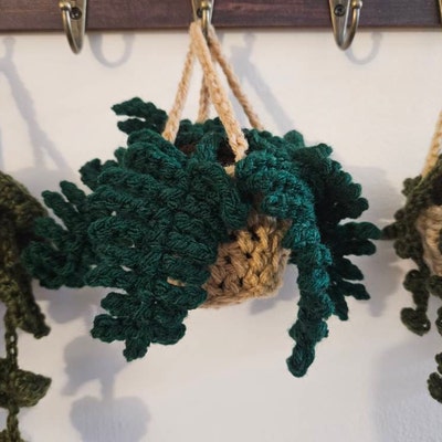 Car Fern Crochet PATTERN by Pamelambie Car Plant - Etsy