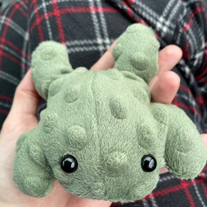 Rice Filled Green Toad Handmade Plush - Etsy