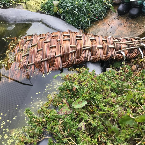 Hedgehog Pond Ramp, Hedgehog Conservation, Pond Decorations, Gardener ...