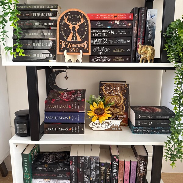 Romantasy Bookcase Sign, Romantasy Bookshelf Sign, Wooden Bookish ...