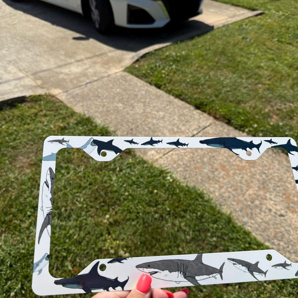 Palm Tree License Plate Frame, Beach License Plate Frame, Ocean License ...