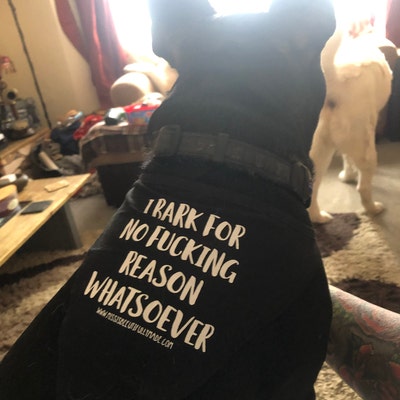 4x Funny Profanity Pen Pack Funny Pens Banter Pens Rude Pens Office ...