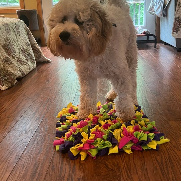 SMALL Burnt Orange Snuffle Mat for Dogs - Enrichment Mat - Rooting Rug ...