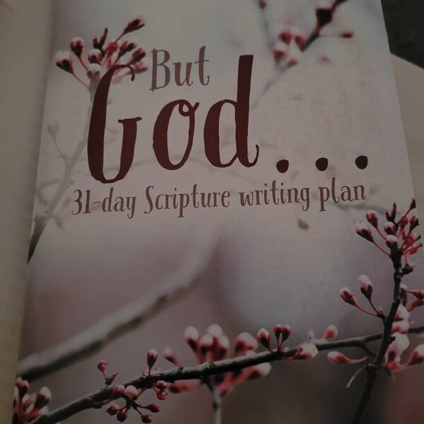 Renewed Mind 31-day Scripture Writing Plan - Etsy