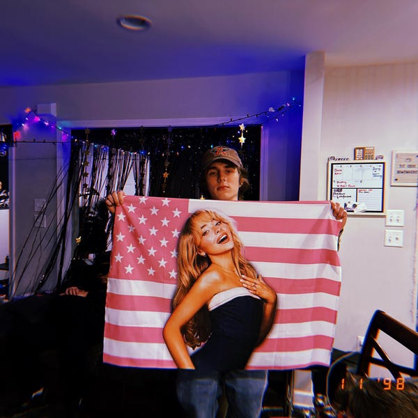 Sabrina Carpenter Pink American Flag Tapestry - Etsy