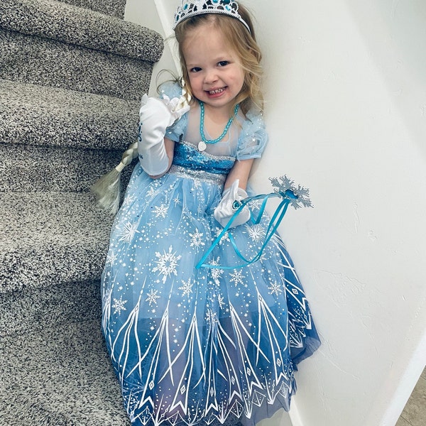 Frozen Elsa Dress PERSONALIZED GIFT SET Frozen Elsa Dress & Accessories ...