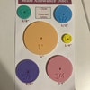 Pastel Multi Color Seam Allowance Disc Set - 6 Sizes Included 1/4" to 1 ...
