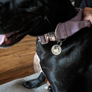 Brass Dog Tag, Personalized Brass Pet ID Tag, Custom Cat Tag, Unique ...