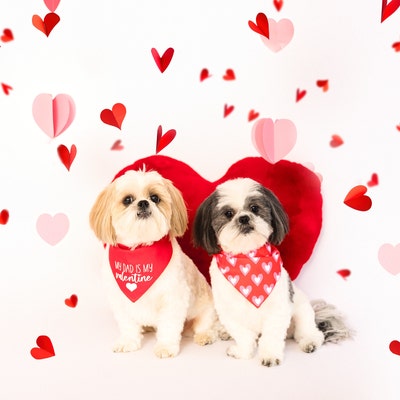 Ball-less & Flawless Dog Bandana, Funny Dog Bandana, Neuter Bandana ...