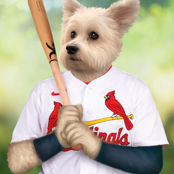 Baseball Lover Gift, Custom Pet Portrait, Baseball Player Dog, Pet ...