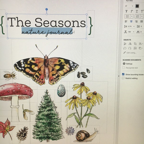 The Seasons – A Year of Nature Journaling - Charlotte Mason Homeschool ...