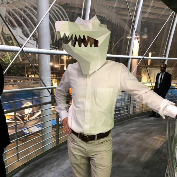 DIY Alligator Mask, Crocodile Mask Template, Paper Craft, Printable ...