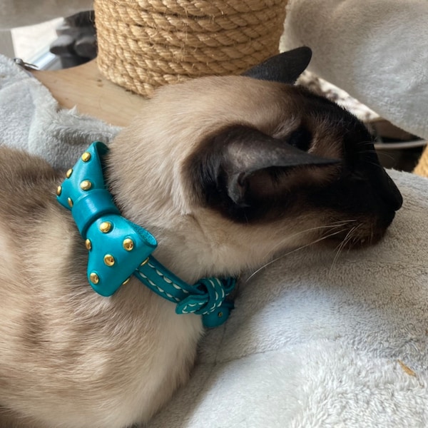 Samsung Galaxy Smart Tag2 Holder Breakaway Cat Collar - Galaxy Tag2 ...