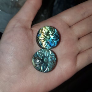 Stone Pinchers Septum Tusk Handmde Gauges Septum Spike | Etsy