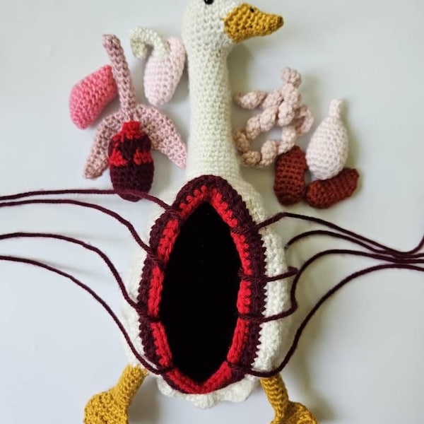 Digital Download Rabbit Dissection Crochet Pattern - Etsy