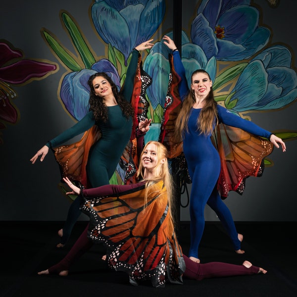 Unitard Dance Costume, Dance Jumpsuit Performance Bodysuit Aerial Hoop ...