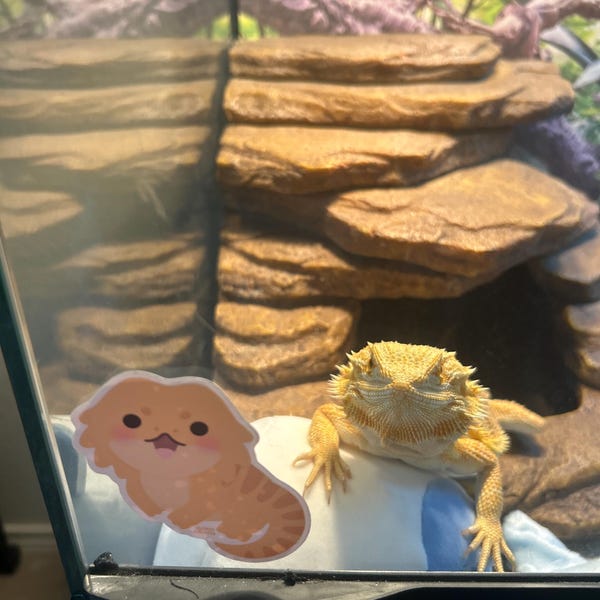 White Arctic Fox Acrylic Glitter Keychain | Kawaii Chibi Wild Animal ...