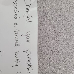 Large AND Small Pumpkin Addi Knitting Digital Pattern. Sentro - Etsy