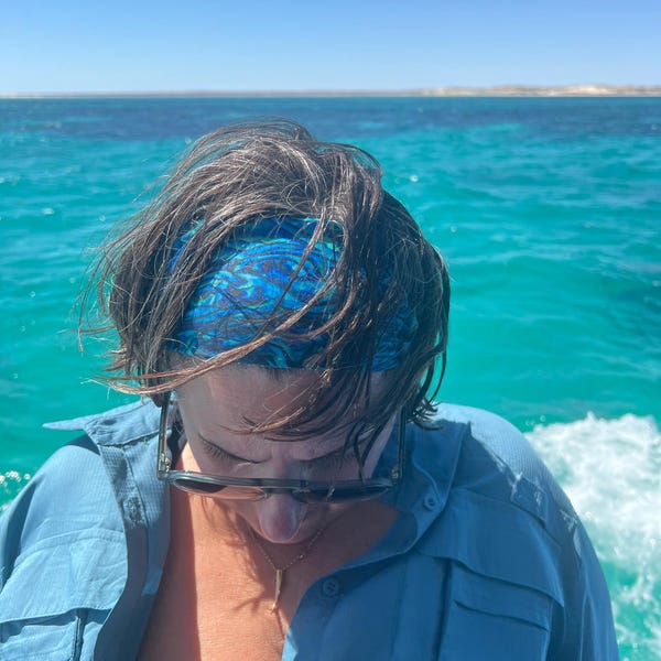 Dive Headband Hammerhead Sharks Nonslip Headband Stretchy Beach ...