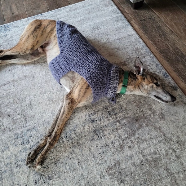 Aeriedesigns Quick Easy Greyhound SWEATER in a Weekend Crochet PATTERN ...