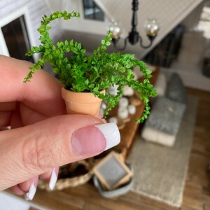 Super Realistic Model Trees / Bush Armatures for All Stairs | Etsy