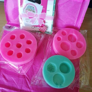 Raspberry Silicone Mold, Fruit Polymer Clay Mold, Flexible Push Mold ...