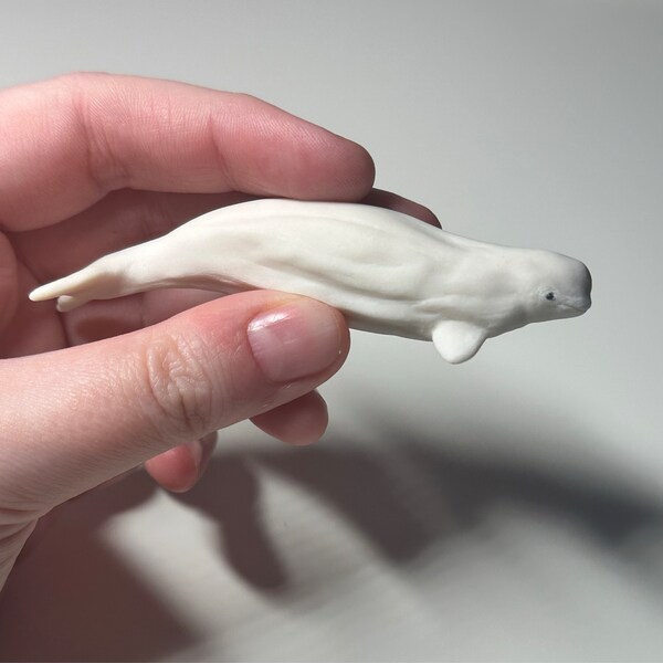 Ocean Coral Succulent Planters - Small Pottery Planter - Mini Succulent ...