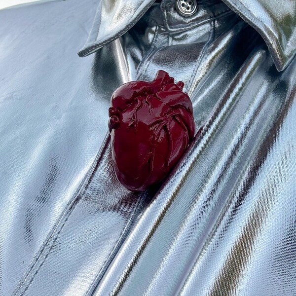 Anatomical Heart Magnet Set, Medical Human Organs Kitchen Magnet, EMS ...