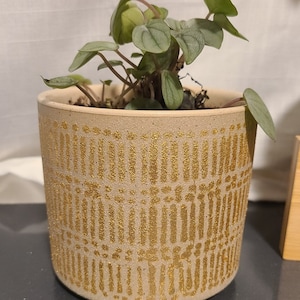 Sand Textured 6 Inch or 4 Inch Pot With Gold Design Details - Etsy