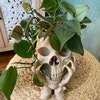 Horror Planter Zombie Bust Plant Pot, Scary & Dark Gothic Sculpture - Etsy
