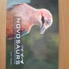 NOVOSAURS Book - Etsy UK