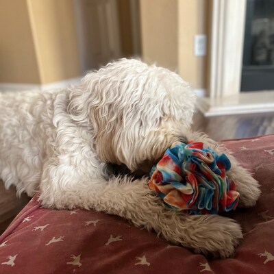 Snuffle Ball, Treat Dispenser, Treat Ball, Canine Enrichment, Keep Dogs ...