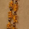 Hawaiian Lei Sea Bean Bubble Shells - Etsy