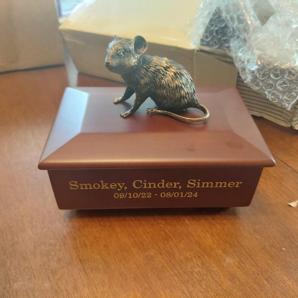 Guinea Pig Urn,rat Urn, Custom Rat Urn,hamster Urn,ashes Urn Engraved ...