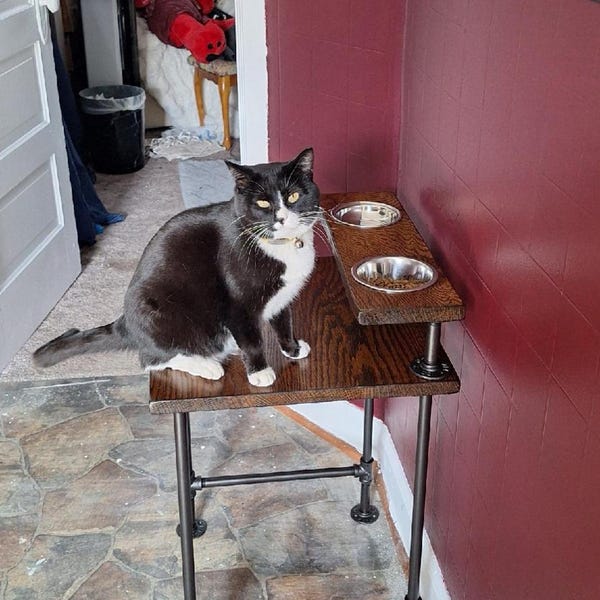 Elevated Cat Food Station - Etsy