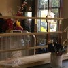 Triple Stationary Mesh Roller, Triple Mesh Roller, Susie's Wreaths and ...