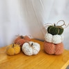Rustic Pumpkin Trio Crochet Pattern - Etsy