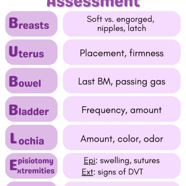 Pediatric Badge Card for Nurses and Students (multiple Color Options ...