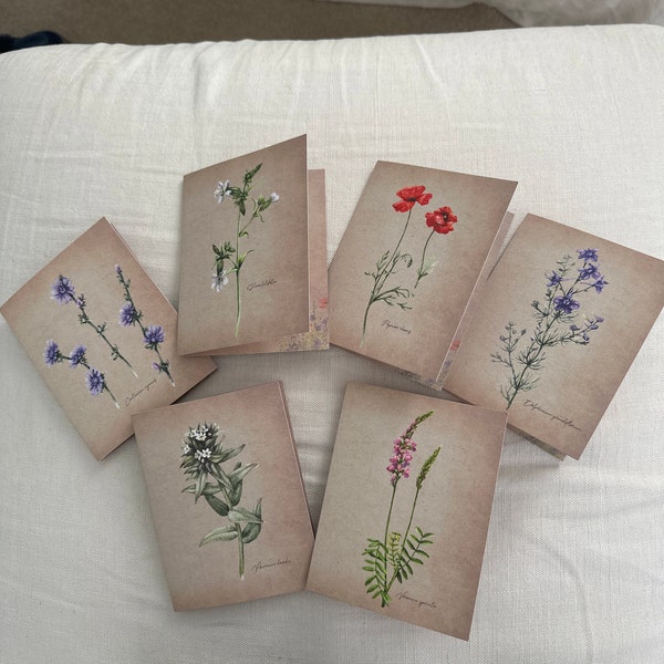 Watercolor Vintage Botanical Floral Wildflower Notecards - 12 Card Gift ...