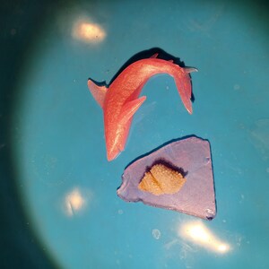 Dolphin Silicone Mold - Etsy