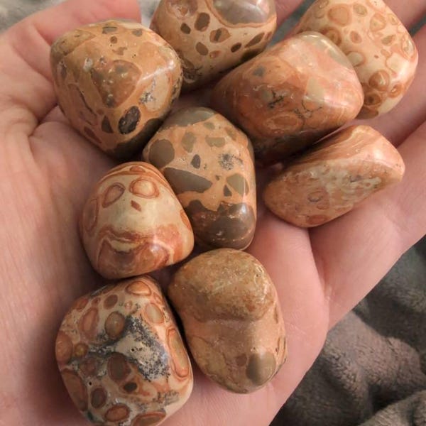 Oco Geode Cut Crystals (avg 3.5 Lbs) Box Flat Bulk Wholesale Lot Rough ...