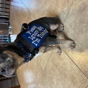 1 Patch, IGNORE ME, 8 Inches X 3 Inches, Sew On, Customizable, Custom ...