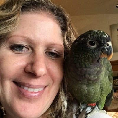 Quirky Corky by Cheep Thrills Bird Toys - Etsy