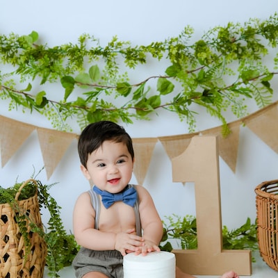 Fake Cheesecake, Fake Food, Lemon Decor, Faux Food Prop, Photo Prop ...