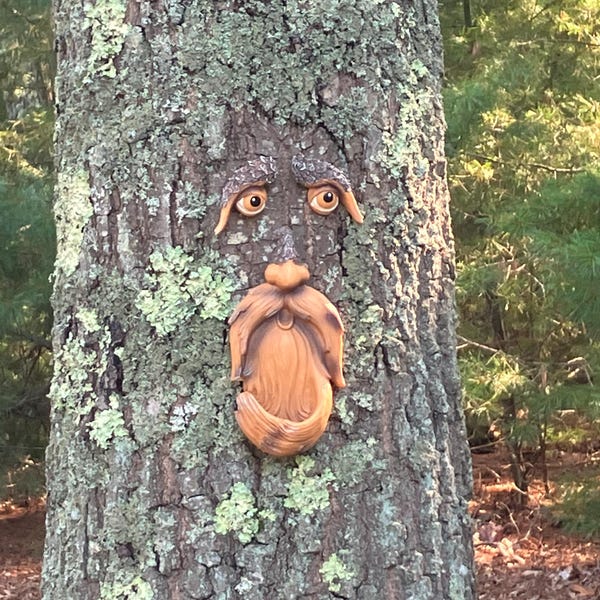 Tree Faces Garden Decor tree Hugger Bird Feeder Yard Art Gift for Dad ...